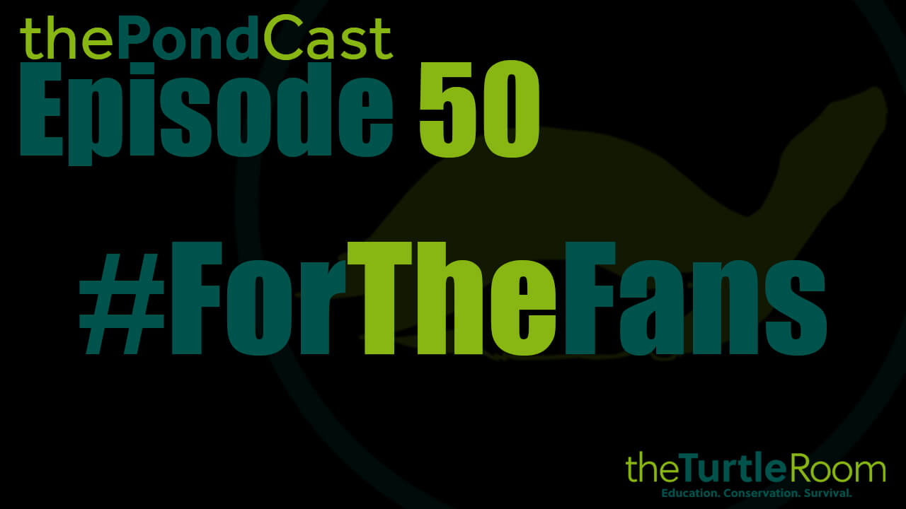 The Pondcast, Episode 50 – theTurtleRoom